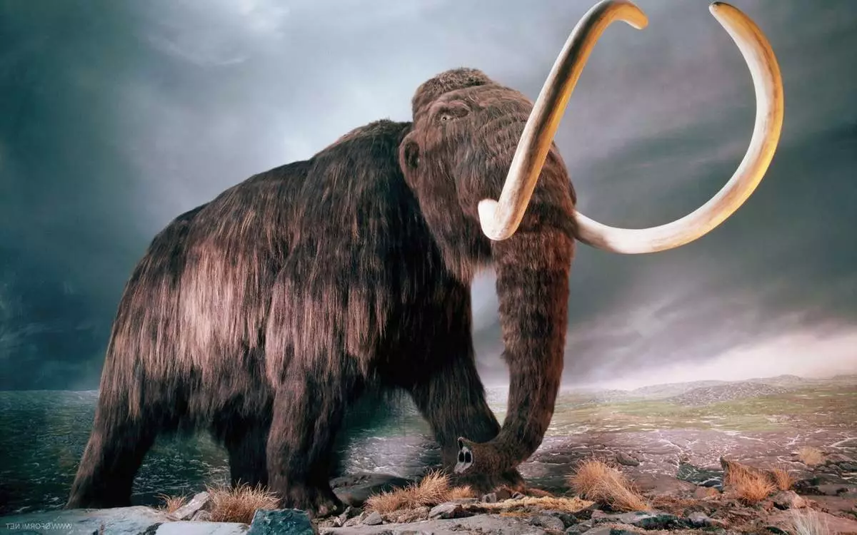 N'oge na -adịghị anya, ndị ọkà mmụta sayensị na -atụ anya iweghachi mammoth na ndụ.