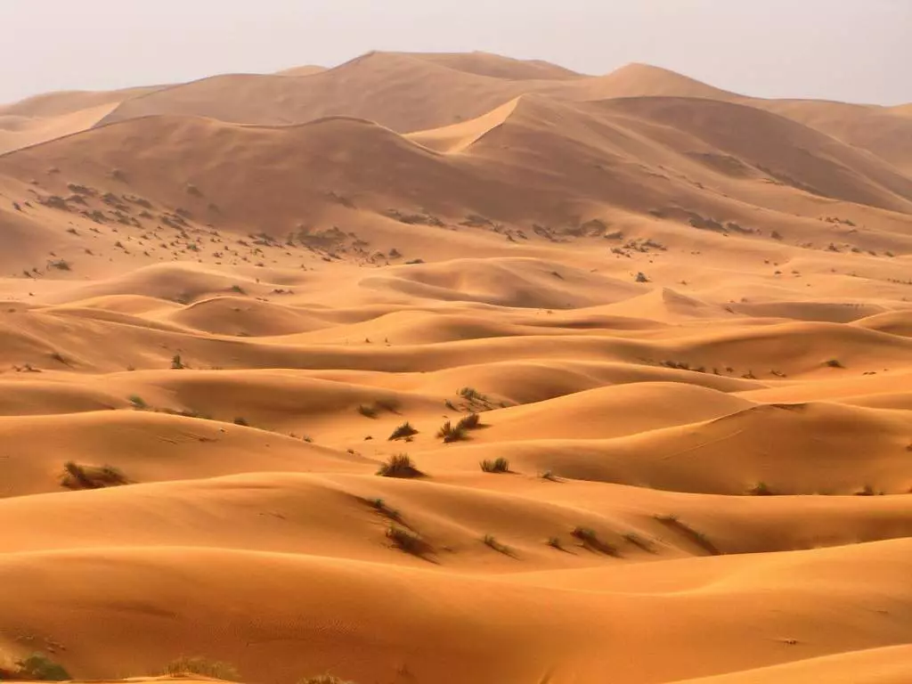 De eindeloze uitgestrektheid van de Sahara.