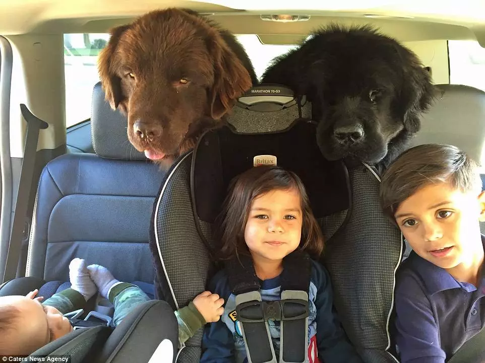 Sammen med kæledyr rejser familien overalt og altid.