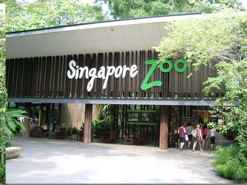 Dierentuin in Singapore.