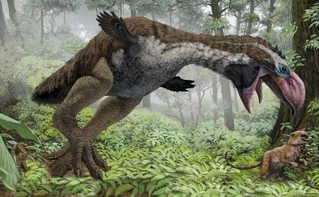 Gastornis si è estinto perché le loro uova nei nidi a terra sono diventate facili prede per altri predatori.