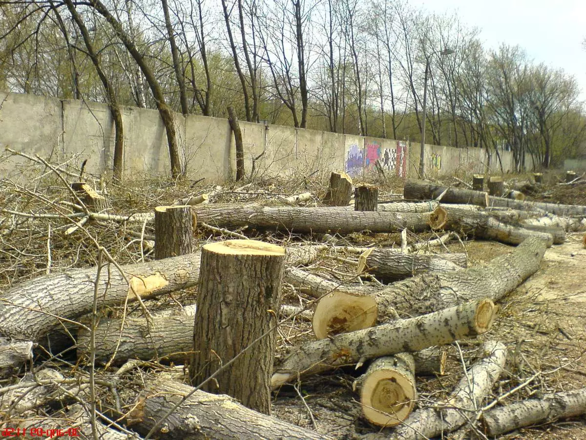 Suvremena gradnja ne štedi ni parkove ni vrtove u kojima žive predstavnici faune.