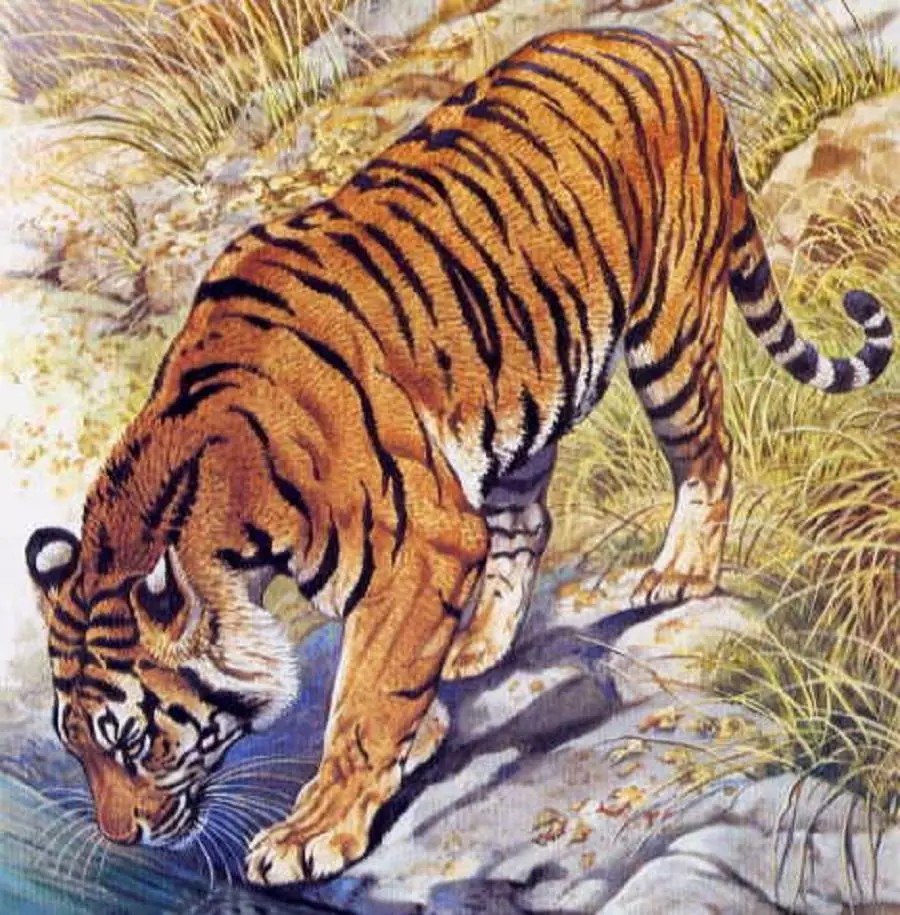 La Turaniana tigro estas oficiale konsiderata tute ekstermita tra sia teritorio.