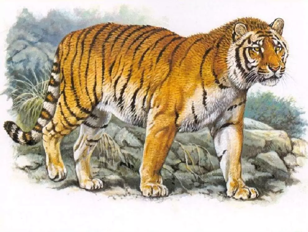 La ekstermado de la kaspiaj tigroj en sovetia Mezazio estis ligita kun la detruo de la medio.