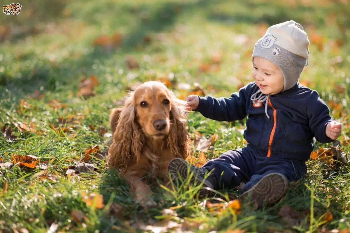 Un animale domestico non è solo un giocattolo per un bambino, ma il suo e il suo migliore amico d'infanzia.