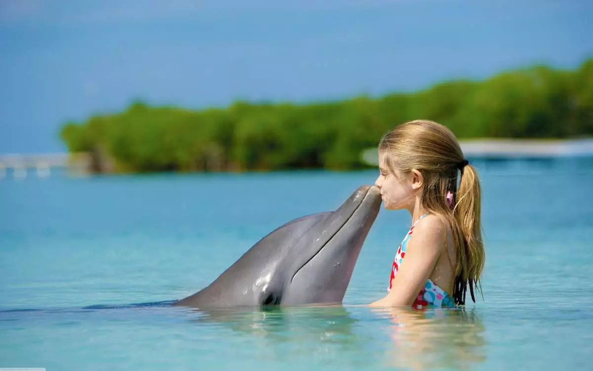 דולפינים הם יצורים אינטליגנטים הדומים לבני אדם.