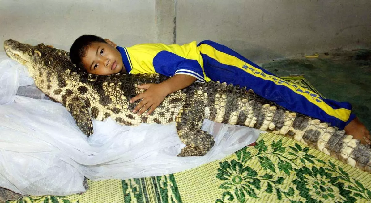 De beste vriend van een kind... een krokodil? Ja - ja, het lijkt erop dat dit geen grap is.