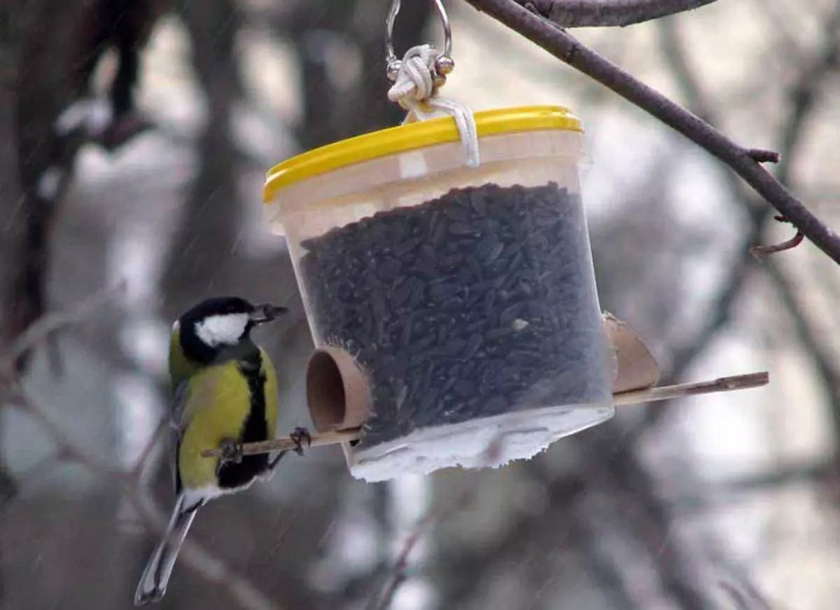 Do not be discouraged if many birds haven’t come to your garden at once - as soon as they dare and understand. that they feed well here - there will be no end to them!