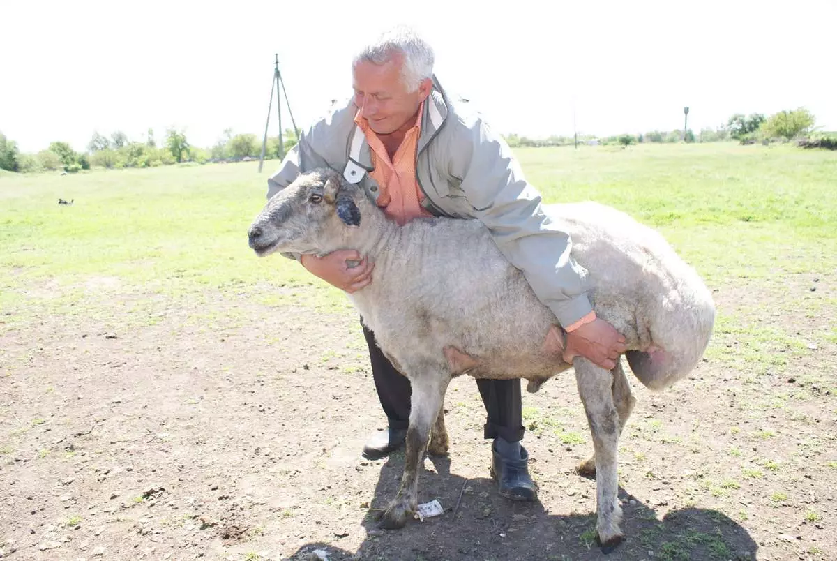 Legyen óvatos, ha kémiai oldattal dolgozik.