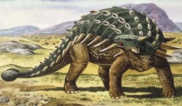 Ní fhéadfadh na ankylosaurs trom dreapadh ar a gcosa deiridh, agus is é sin an fáth go raibh orthu a bheith sásta leis an bhfásra amháin atá suite sa tsraith is ísle.