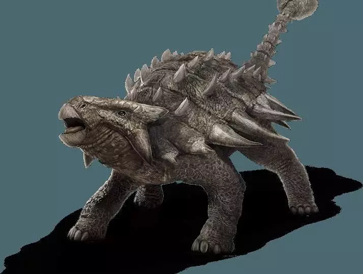 Upami urang ngabandingkeun ankylosaurus sareng penyu, maka urang tiasa nyarios yén pelat masing-masing baju waja ankylosaurus henteu tumuh sasarengan, tapi perenahna silih caket.