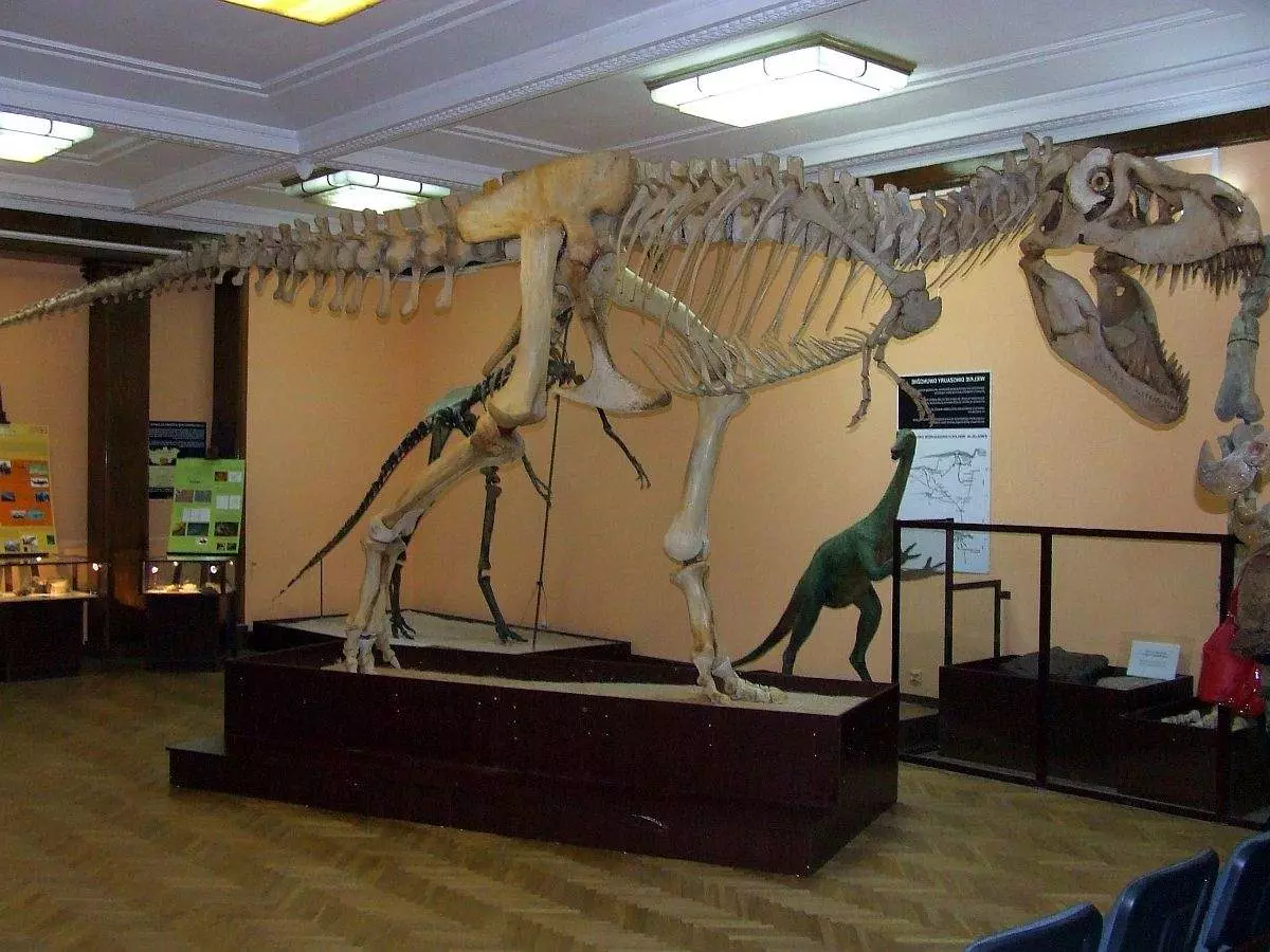 Masapo a Tarbosaurus.