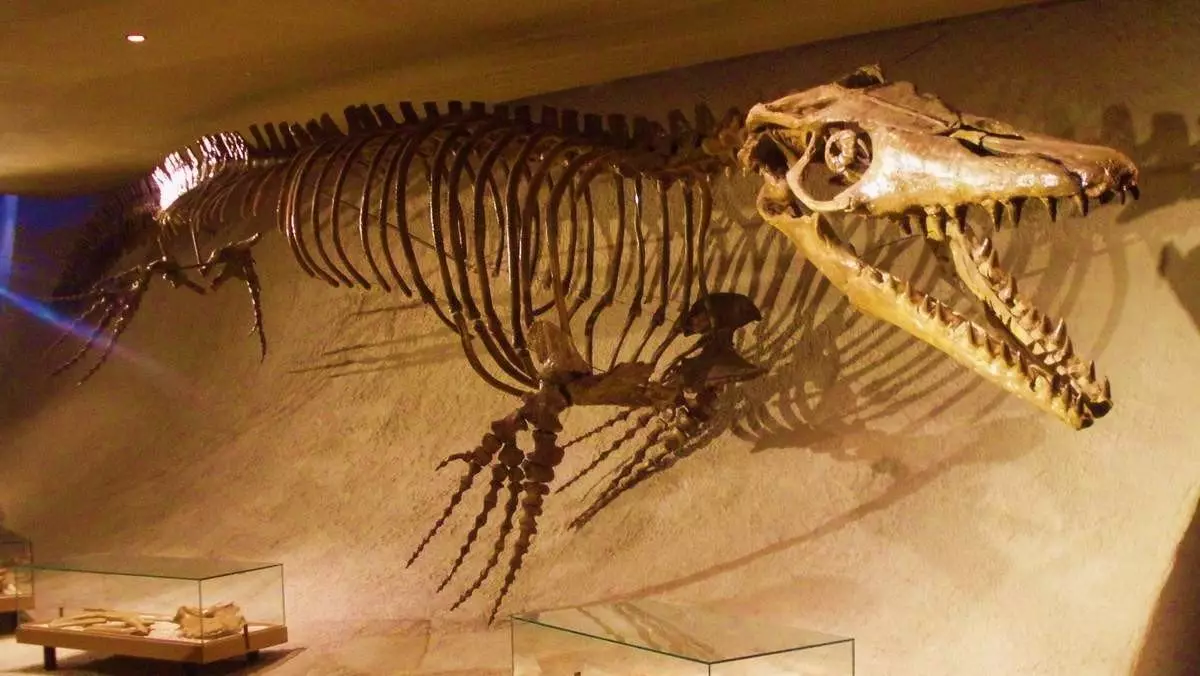 Das Skelett einer riesigen Eidechse.