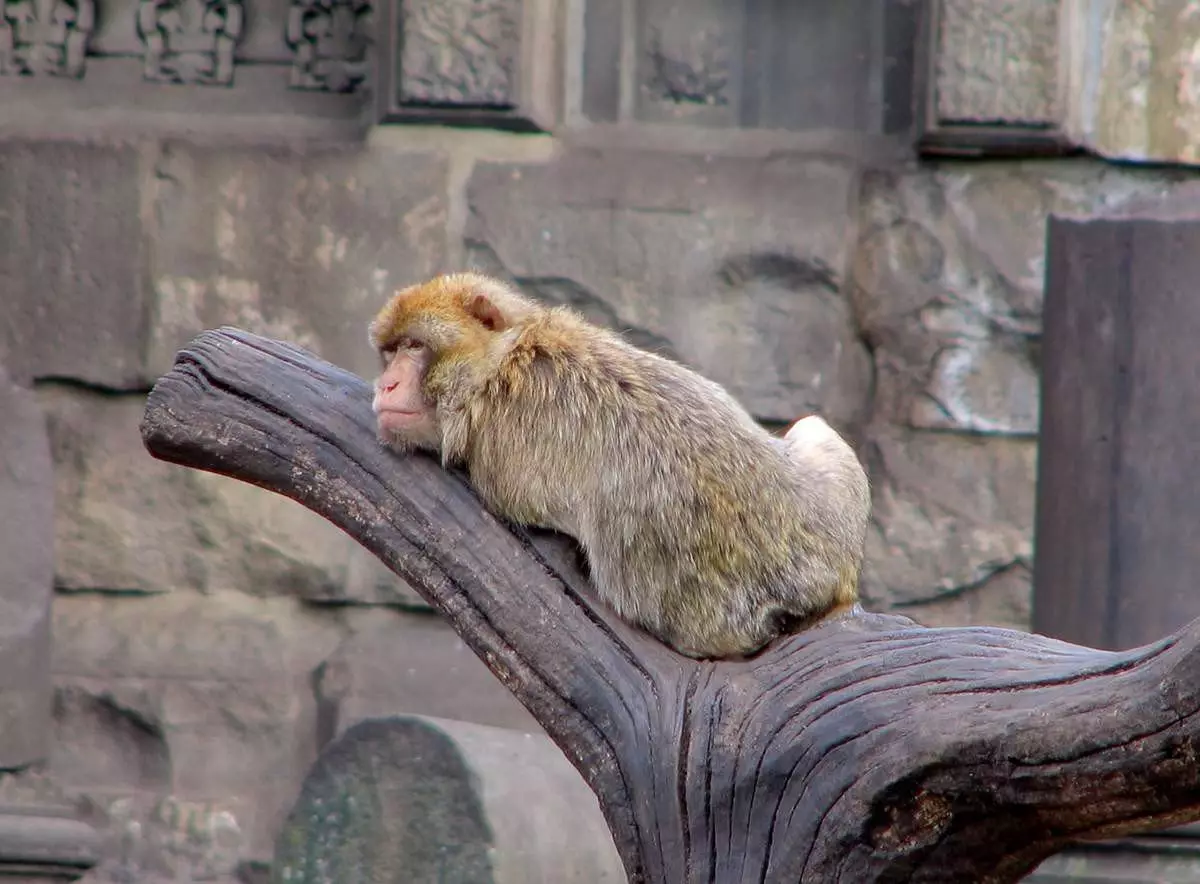 Minutos de descanso.