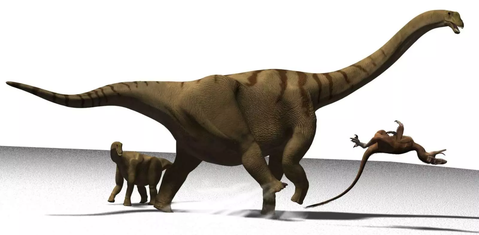 Titanosaur (لاطيني Titanosauria)