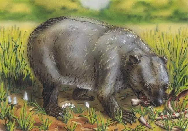 Eine andere, zugegebenermaßen sehr originelle Version behauptet, dass der Nandi-Bär ein bis heute überlebter Nachkomme der Chalicotherians ist.