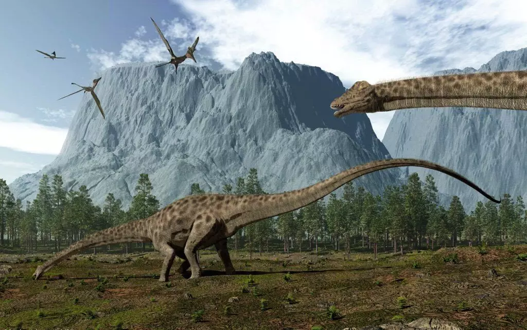 Diplodocus (Selatine Diplodocus)