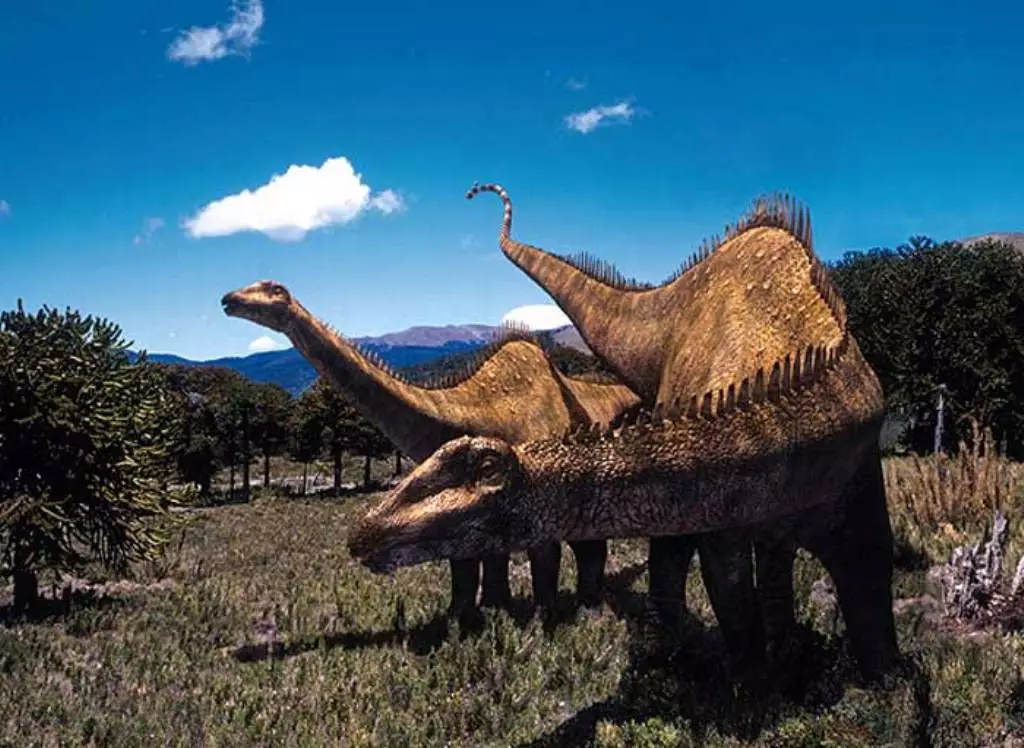 Diplodocus adalah dinosaur herbivor.