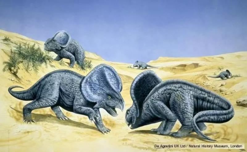 การต่อสู้ของ Protoceratops