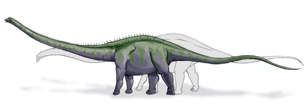 Supersaurus (Lotin Supersaurus vivianae)