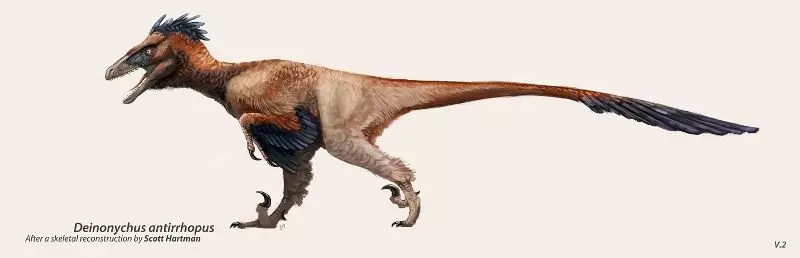 UDeinonychus