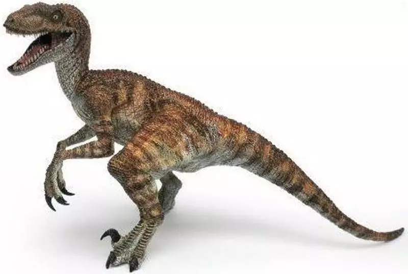 Welociraptor