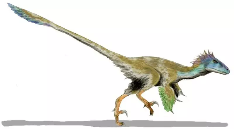 Utaraptor