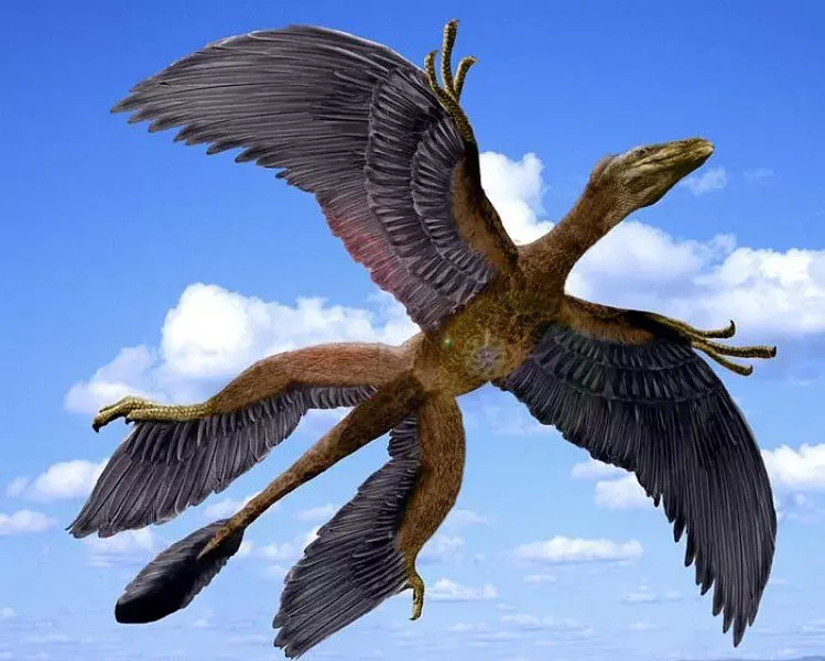 Microraptor