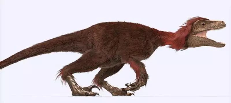 Piroraptor