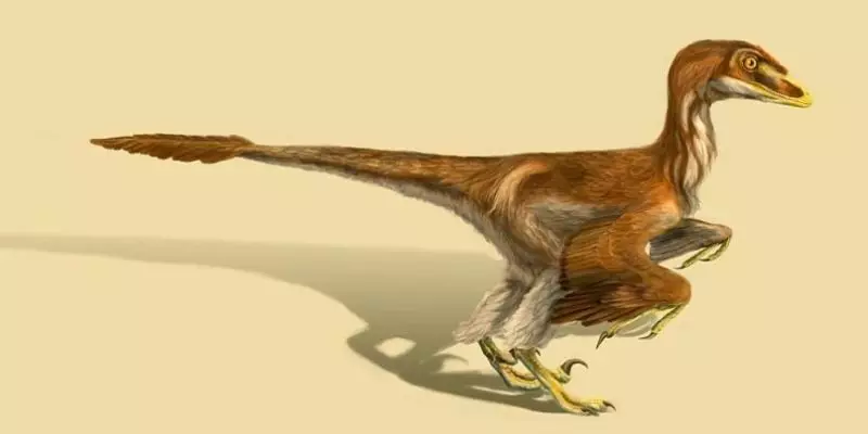 Dromaeosaurus