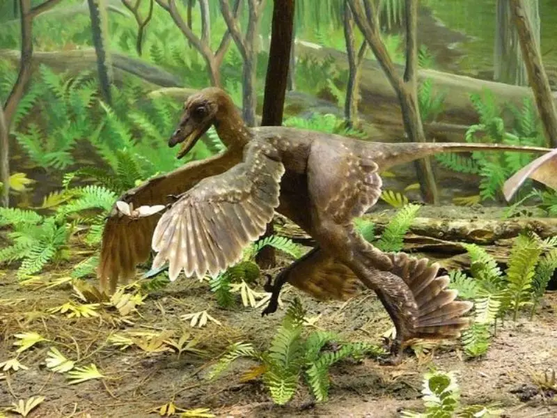 Sinornitosaurus