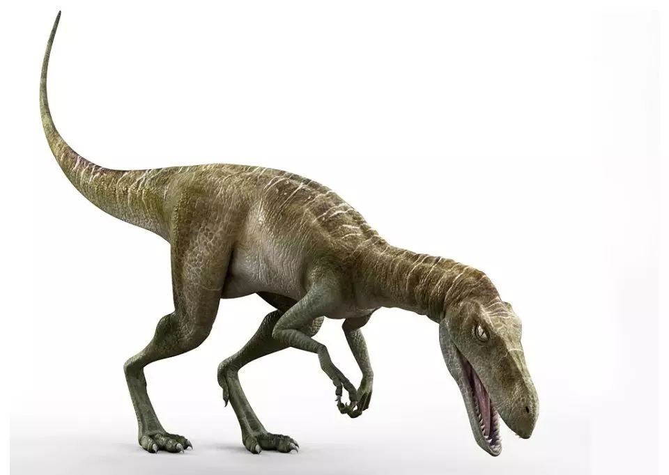 Stavrikosaurus (Lotin Staurikosaurus)