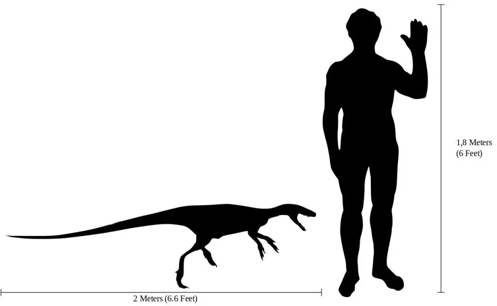 Stavricosaurus kichik dinozavr edi.
