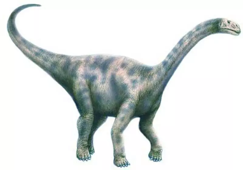 Нұрозавр