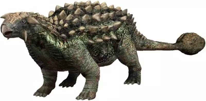 Брондолгон динозаврлар: Анкилозавр жана Нодоцефалозавр