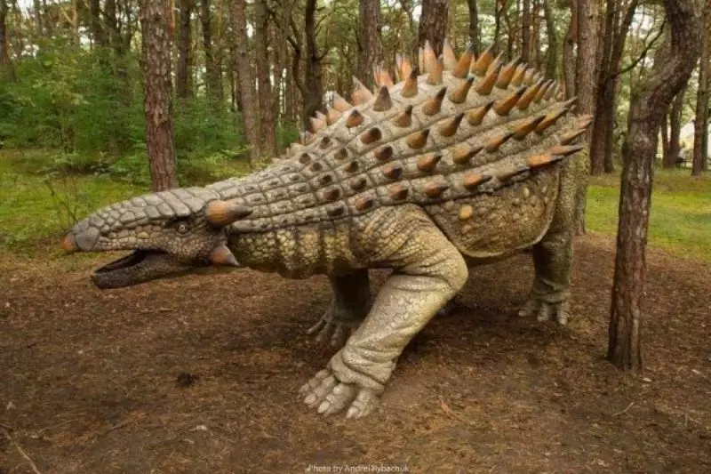 Ankylosaurus modeli.