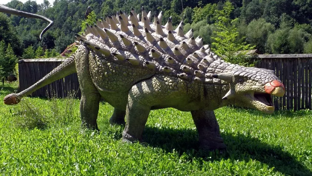 Ankylosaurus modeli.