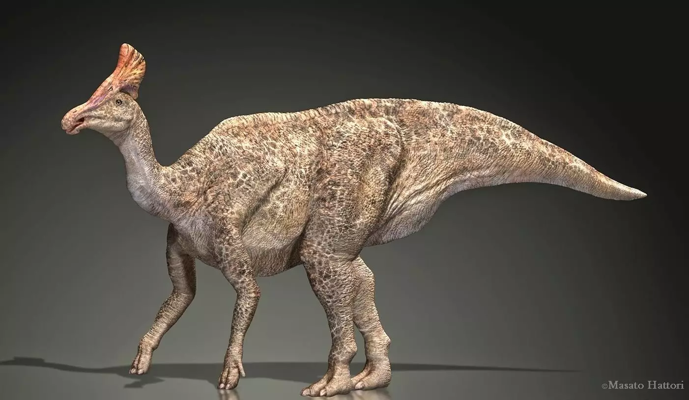Dinosaures ornithorynques : Hadrosaures