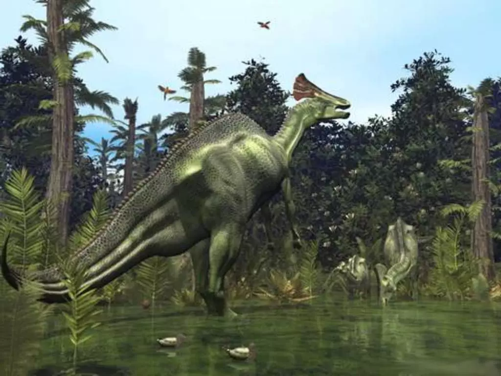 Différents types d'hadrosaures différaient par la forme du bec et des excroissances sur la tête.