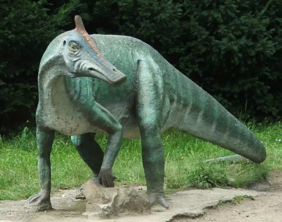 Modèle grandeur nature d'un hadrosaure.