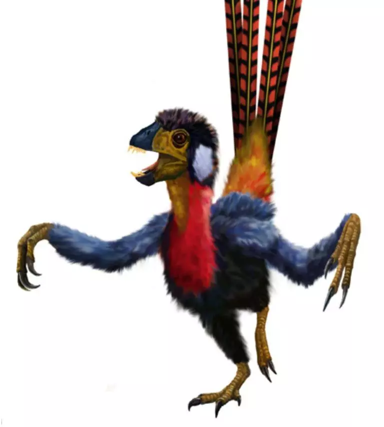 Syantis yo te retabli koulè Epidexipteryx nan résidus pigman fosil yo.