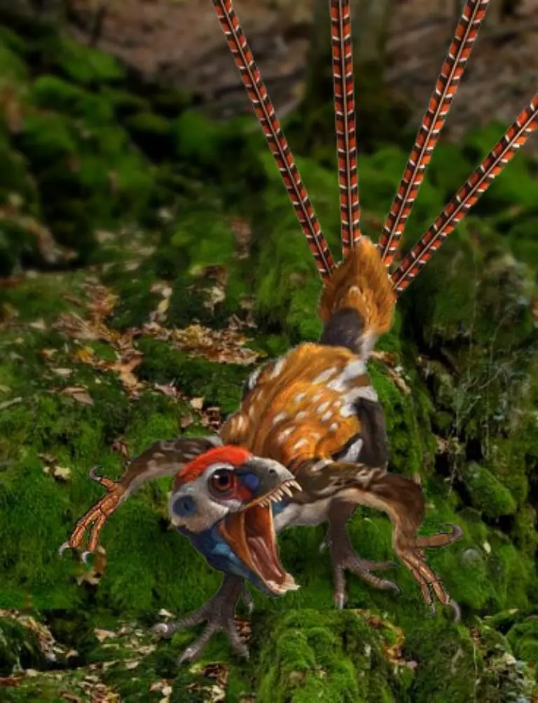 Paglaraw-pagtukod pag-usab sa epidexipteryx.