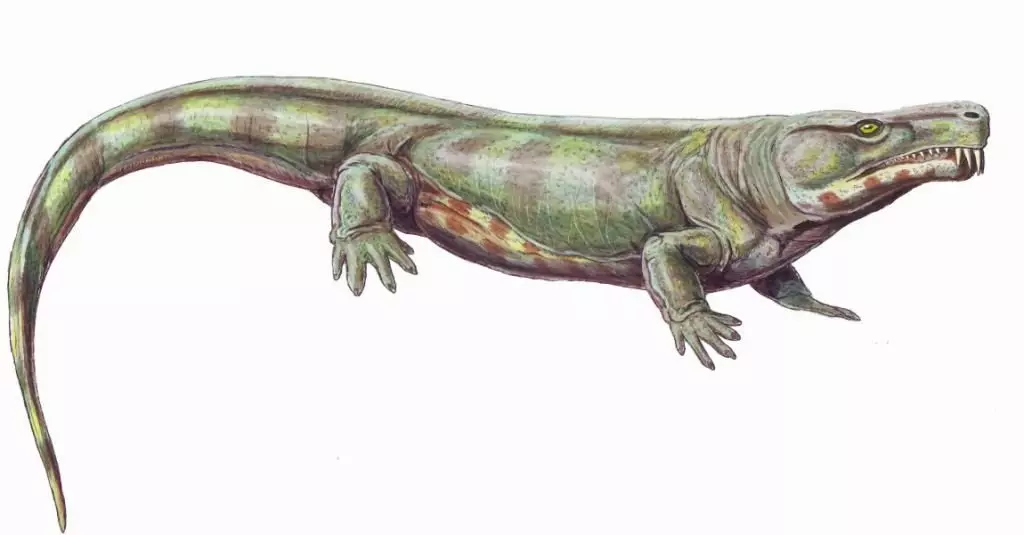 Kotilosaurija (lat. Cotylosauria)