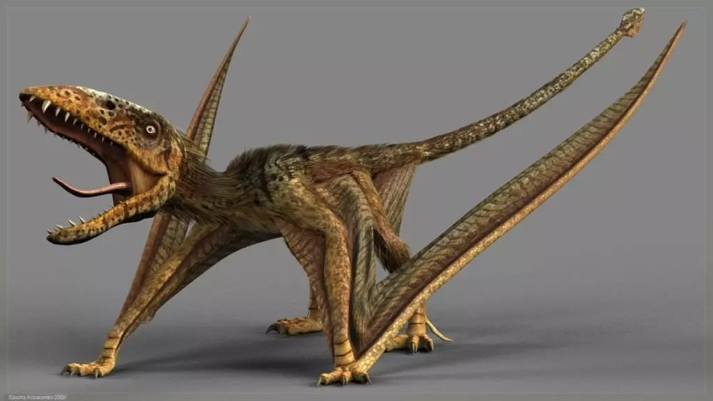 Dimorphodon (lat. Dimorphodon)