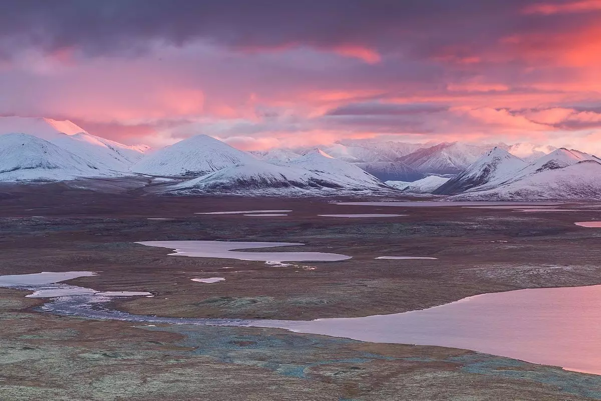 Arktik tundra - muhteşem manzaralar.