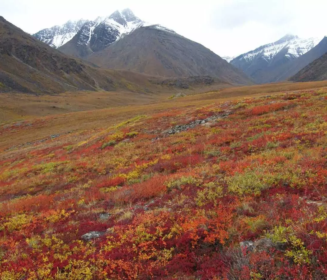 Autumn in the Arctic can be wonderful too.