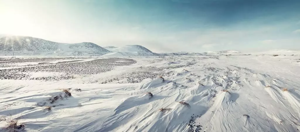 Een winters verhaal in de arctische toendra.