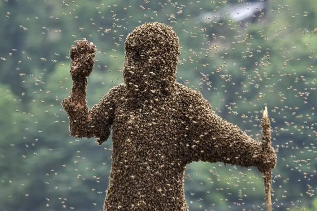 Afrika arıları filmlerde karakter haline geldi.