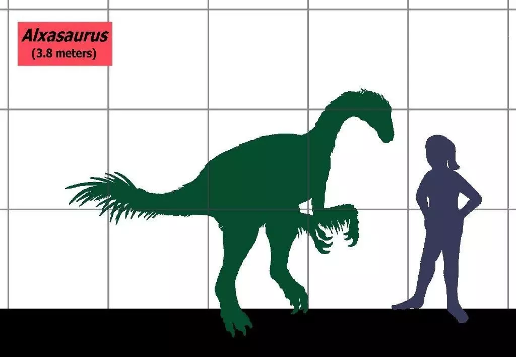 The visual size of the alexazaurus.