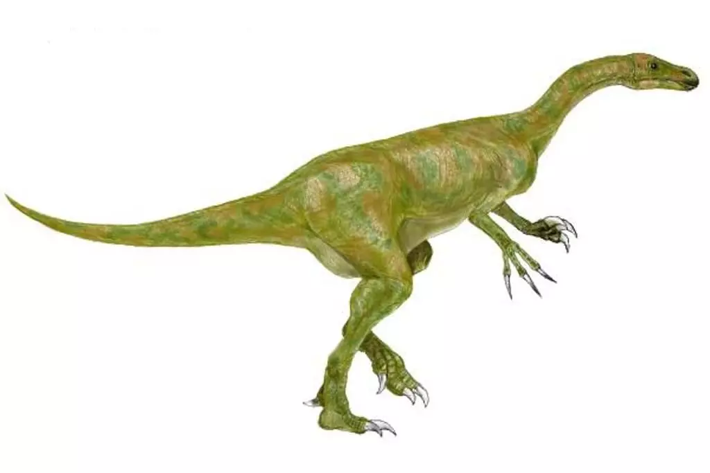 Drawing of a young alexasaurus.